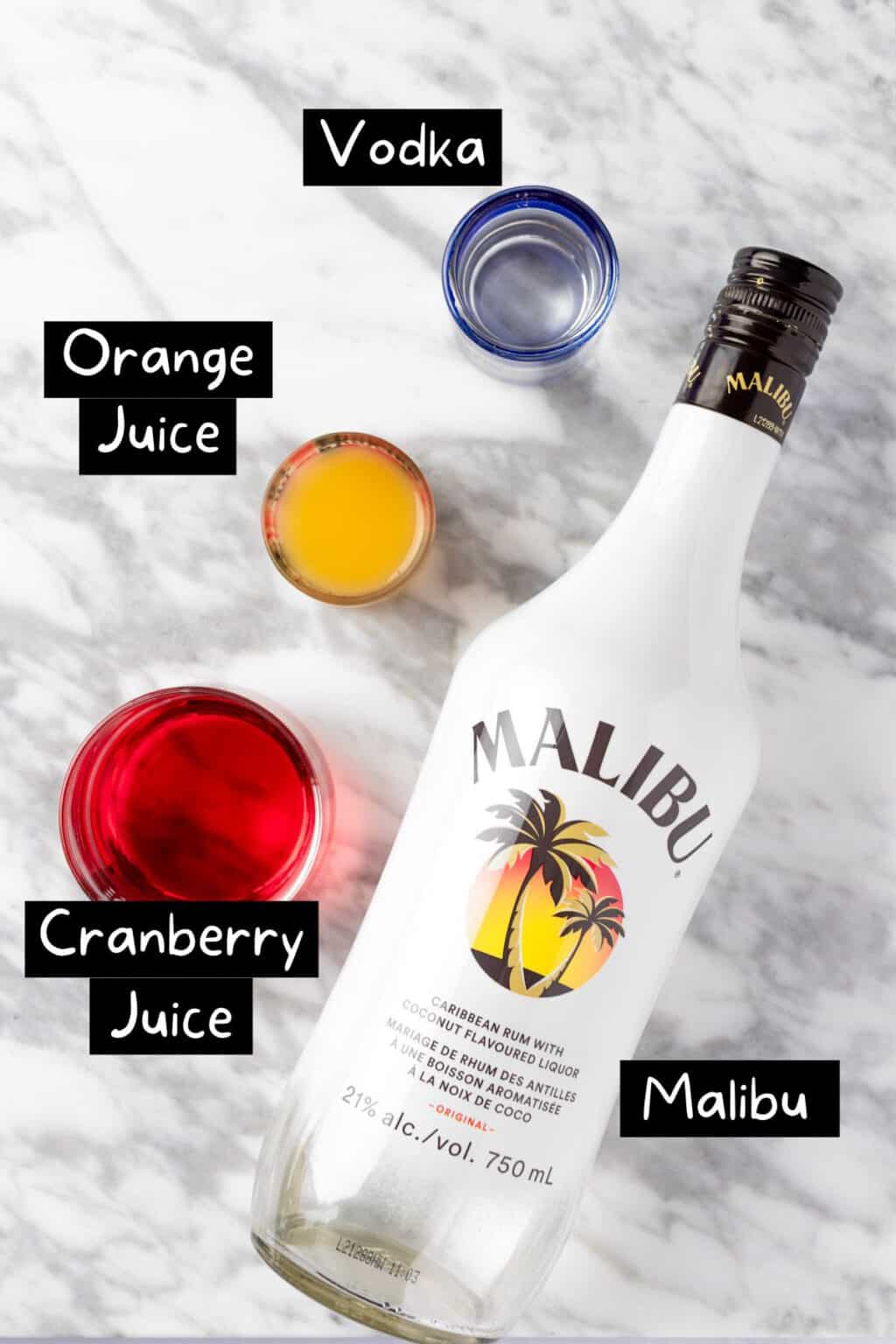 Barbie Shot - The Littlest Crumb