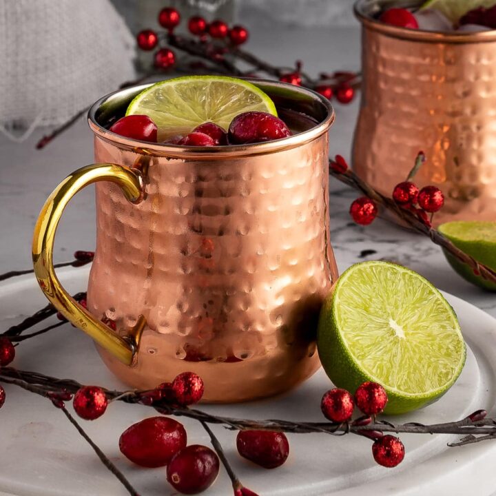 15 Best Mule Drinks (The Best Variations of Moscow Mule Cocktails)