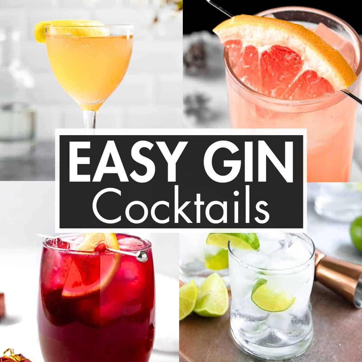 Easy Gin Cocktails - The Littlest Crumb