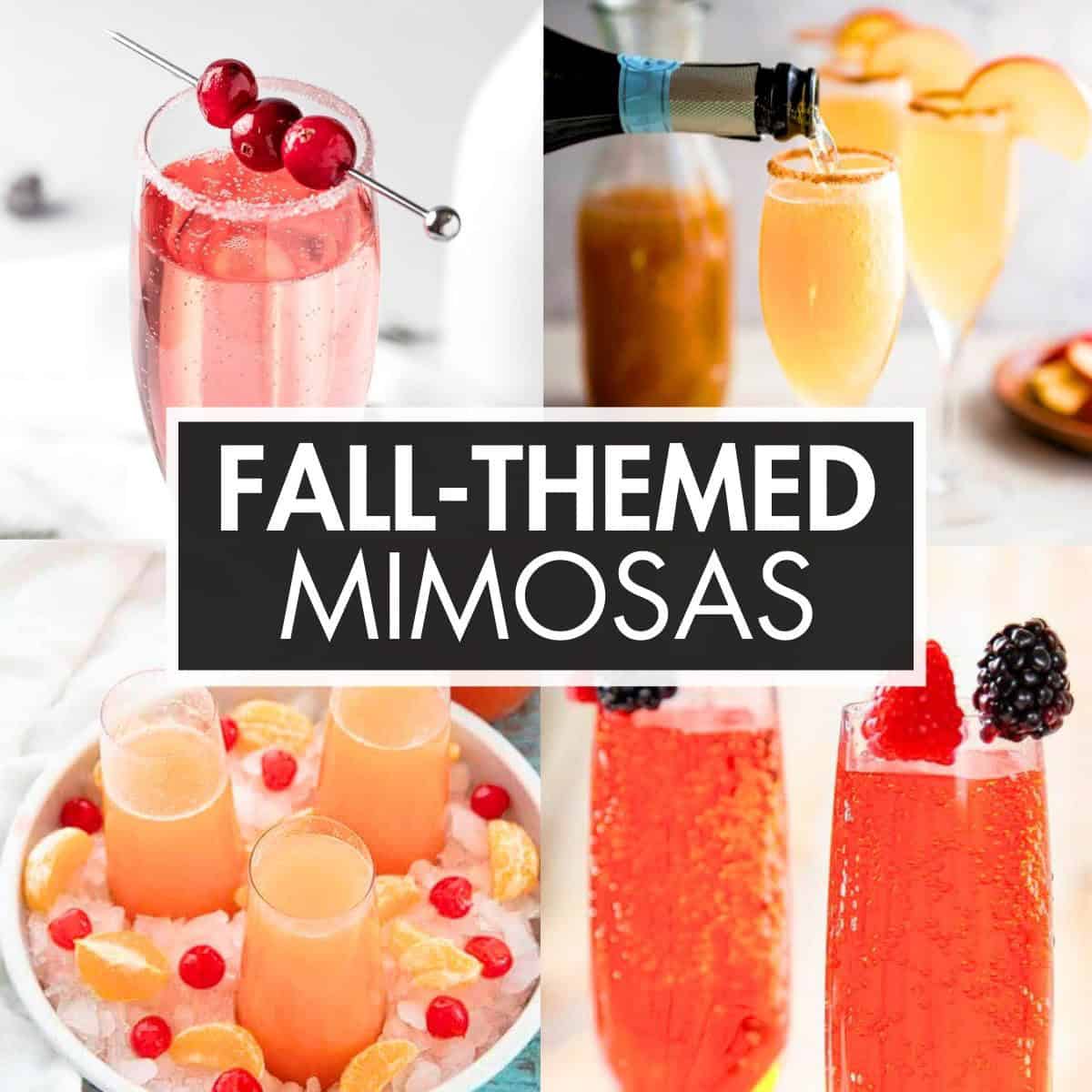 Fall Mimosas - The Littlest Crumb