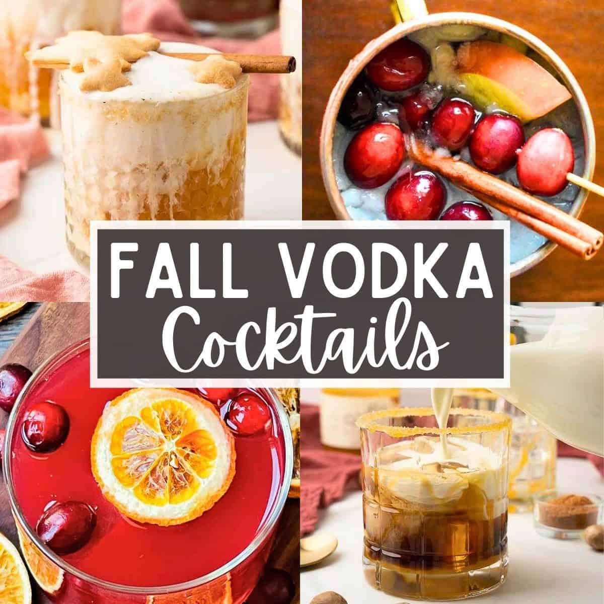 Fall Vodka Cocktails - The Littlest Crumb