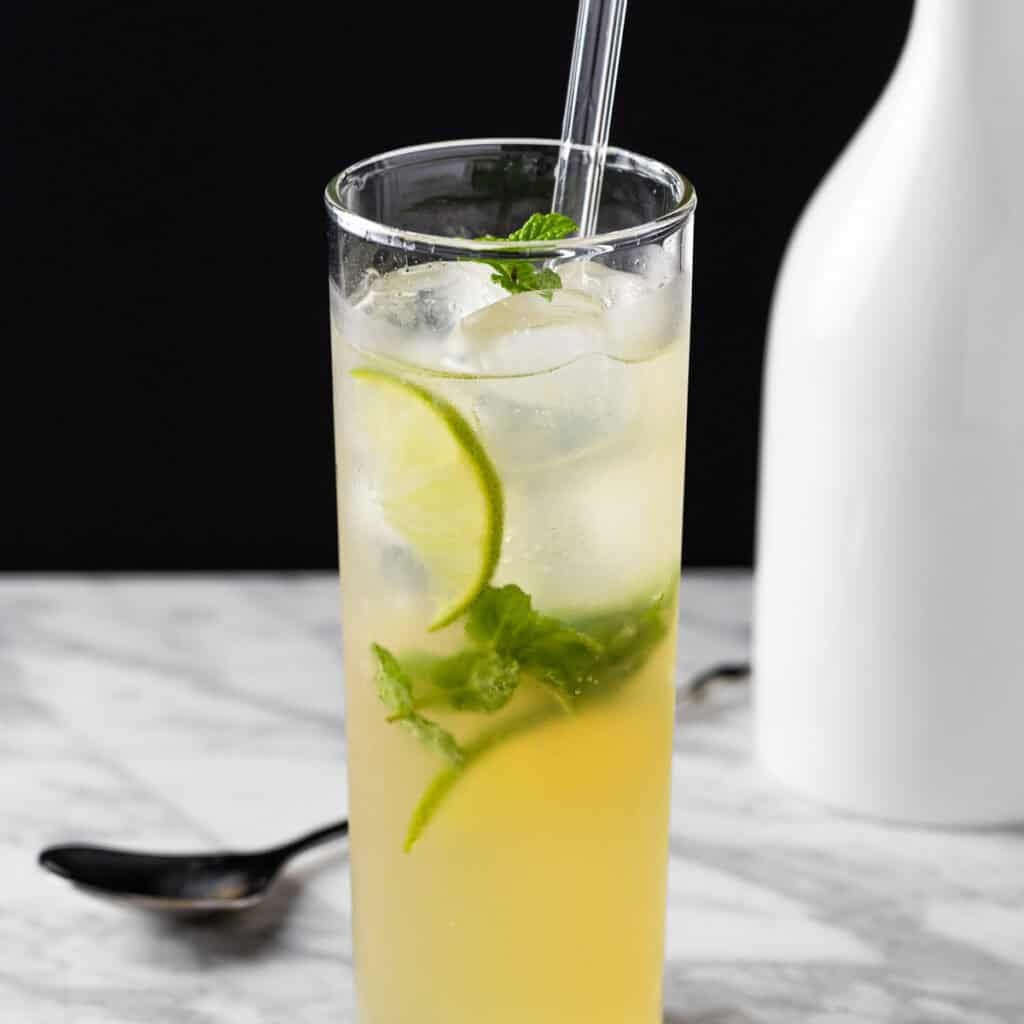 Ginger Ale Mojito - The Littlest Crumb