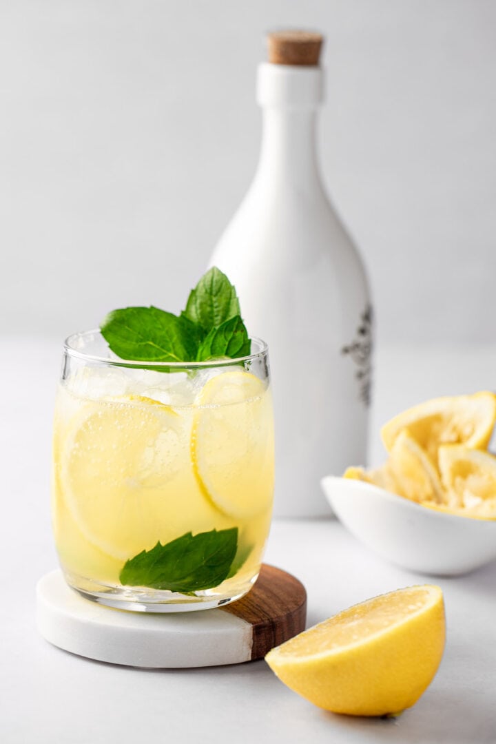 Lemon Mint Mocktail - The Littlest Crumb