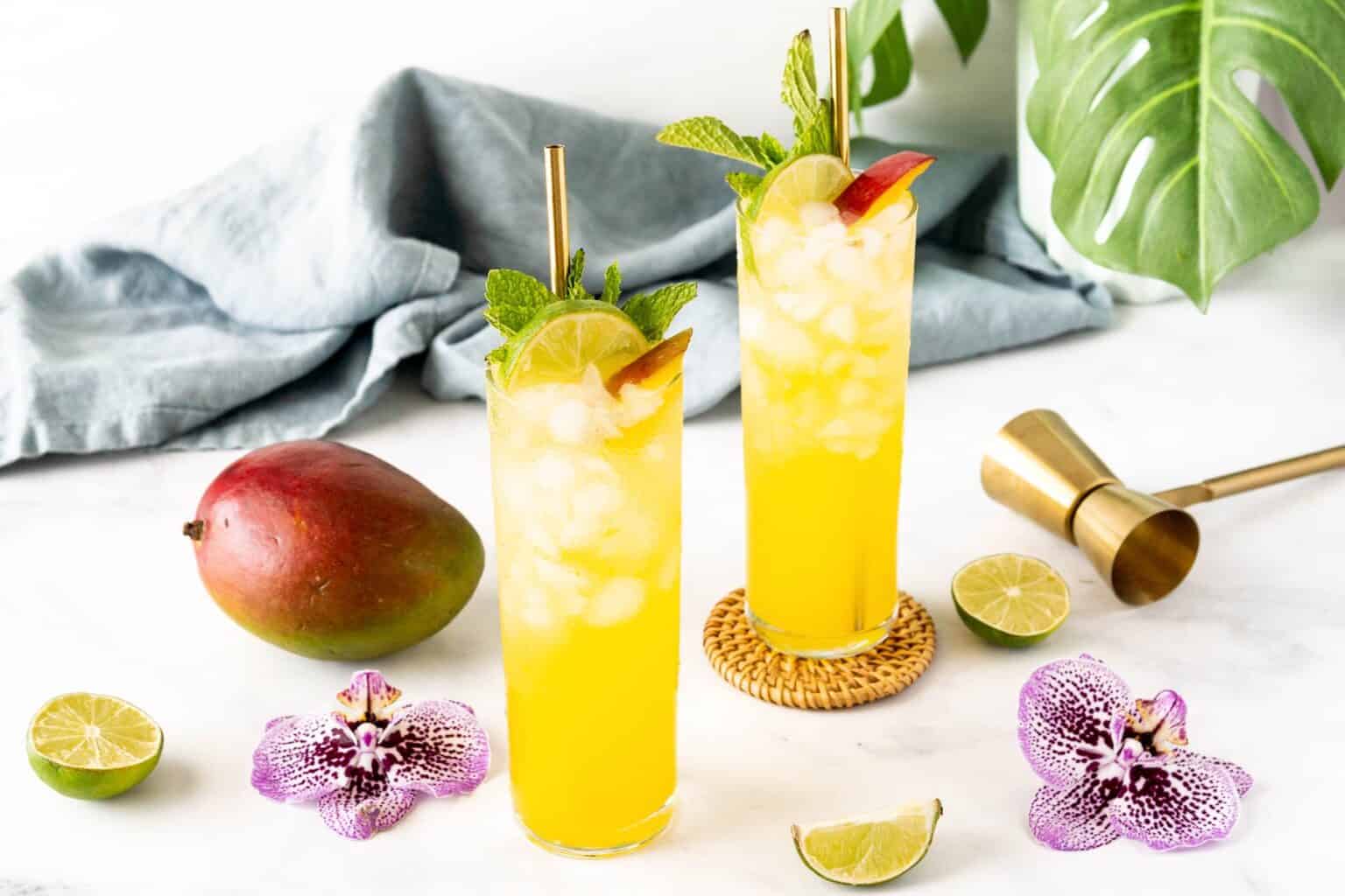 The 10 Best Mojito Flavors - The Littlest Crumb