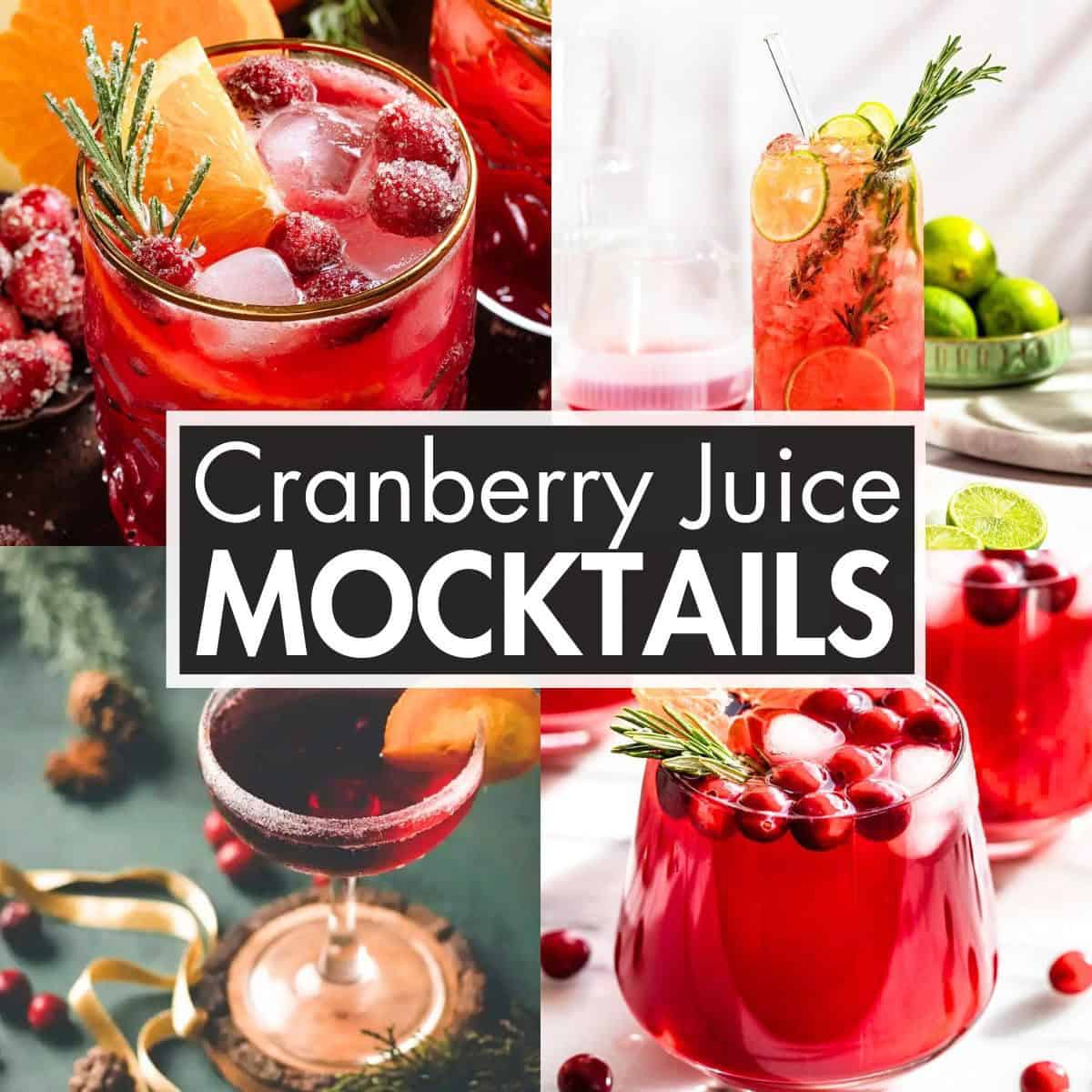 Mocktails With Cranberry Juice - The Littlest Crumb