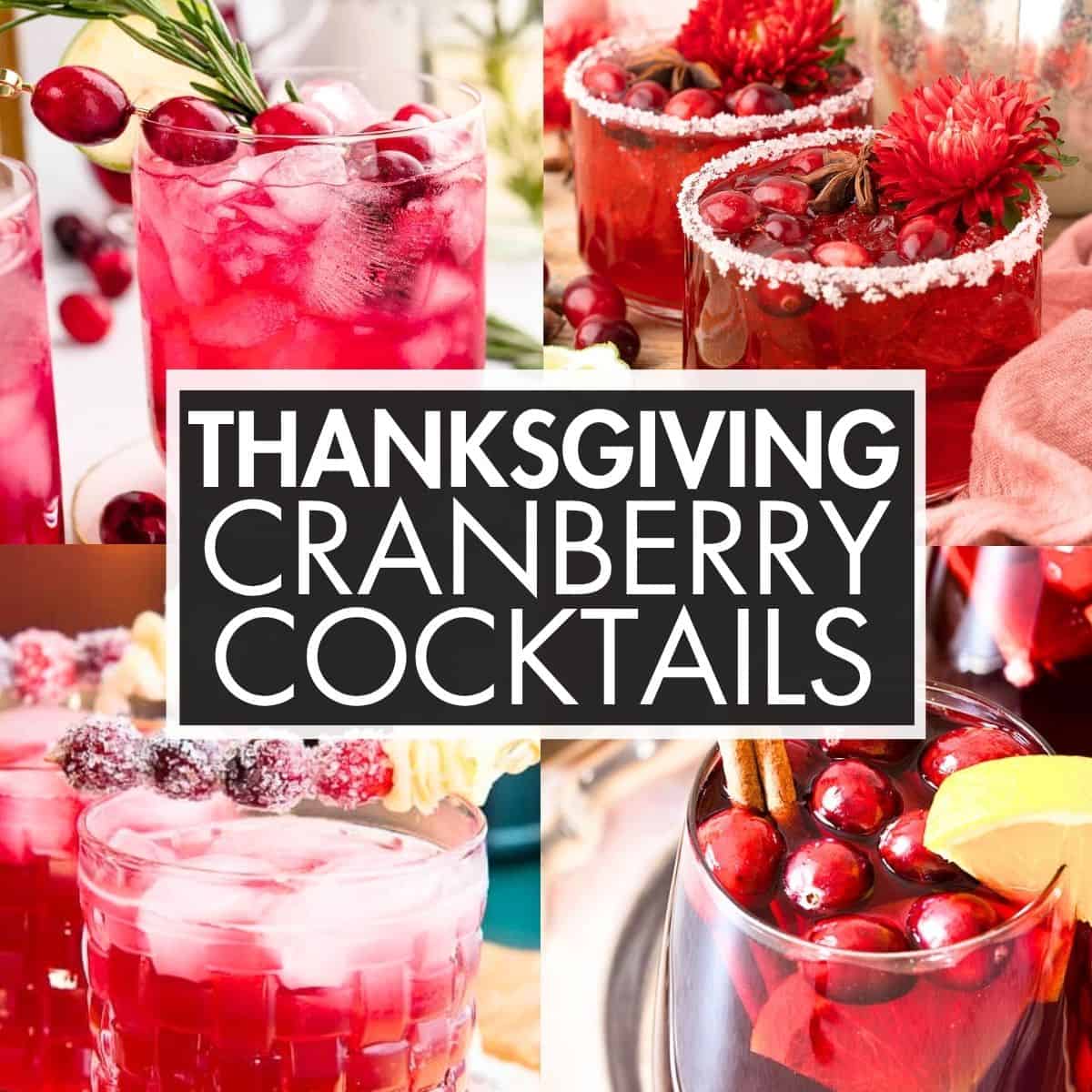 Thanksgiving Cranberry Cocktails - The Littlest Crumb