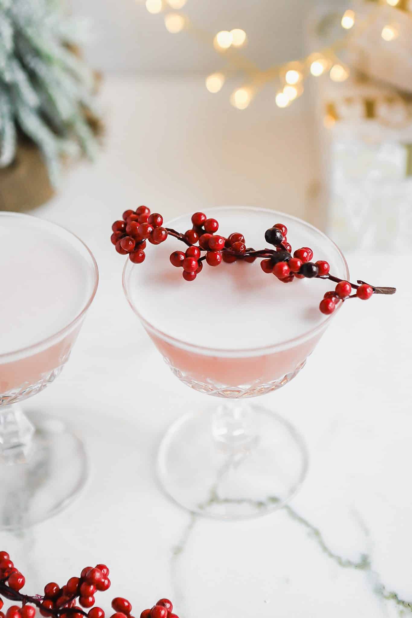 Christmas Cranberry Cocktails - The Littlest Crumb