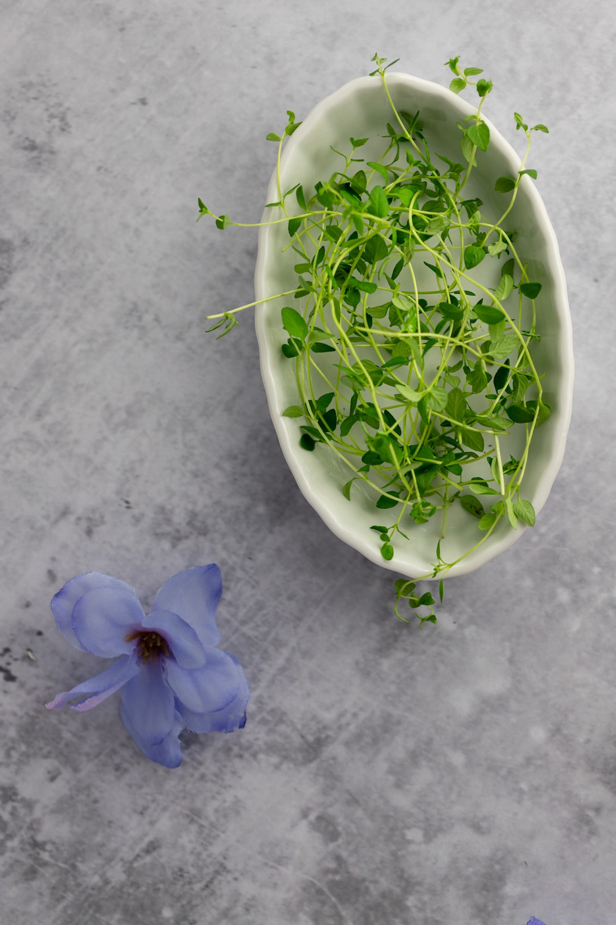 Thyme Simple Syrup - The Littlest Crumb